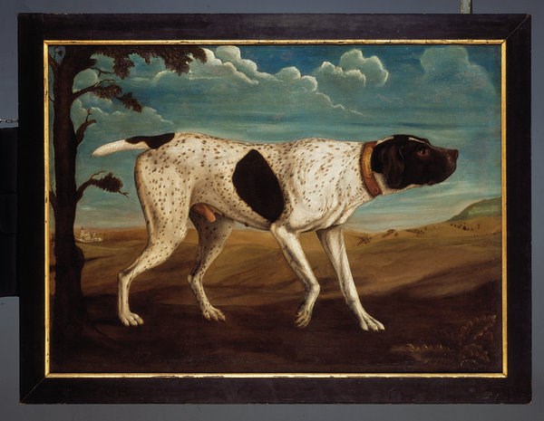 A Fine English Portrait of a Pointer Dog , His Collar Inscribed 'Thynne ...