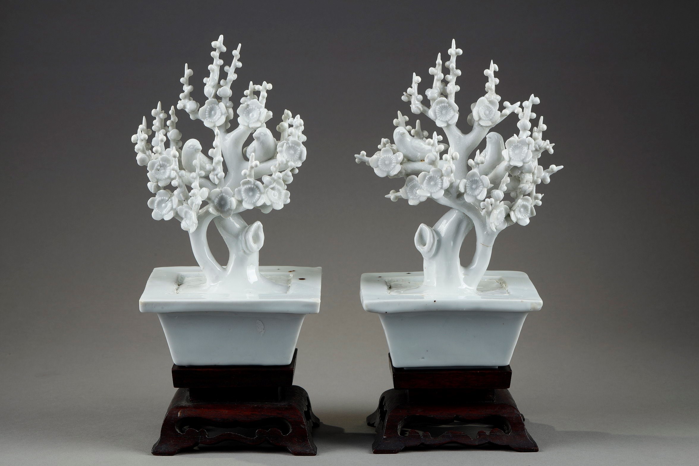pair of small trees in porcelain blanc de Chine prunus in flowers and ...