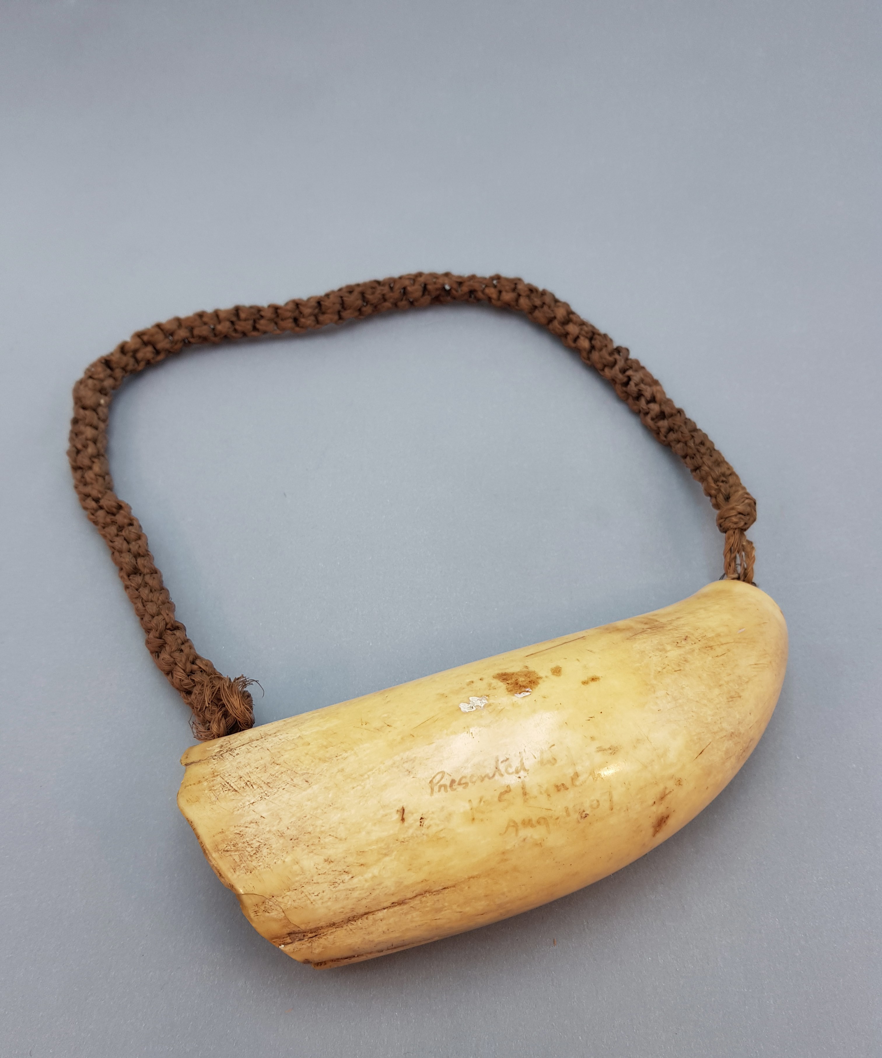 FIJI TABUA | MasterArt