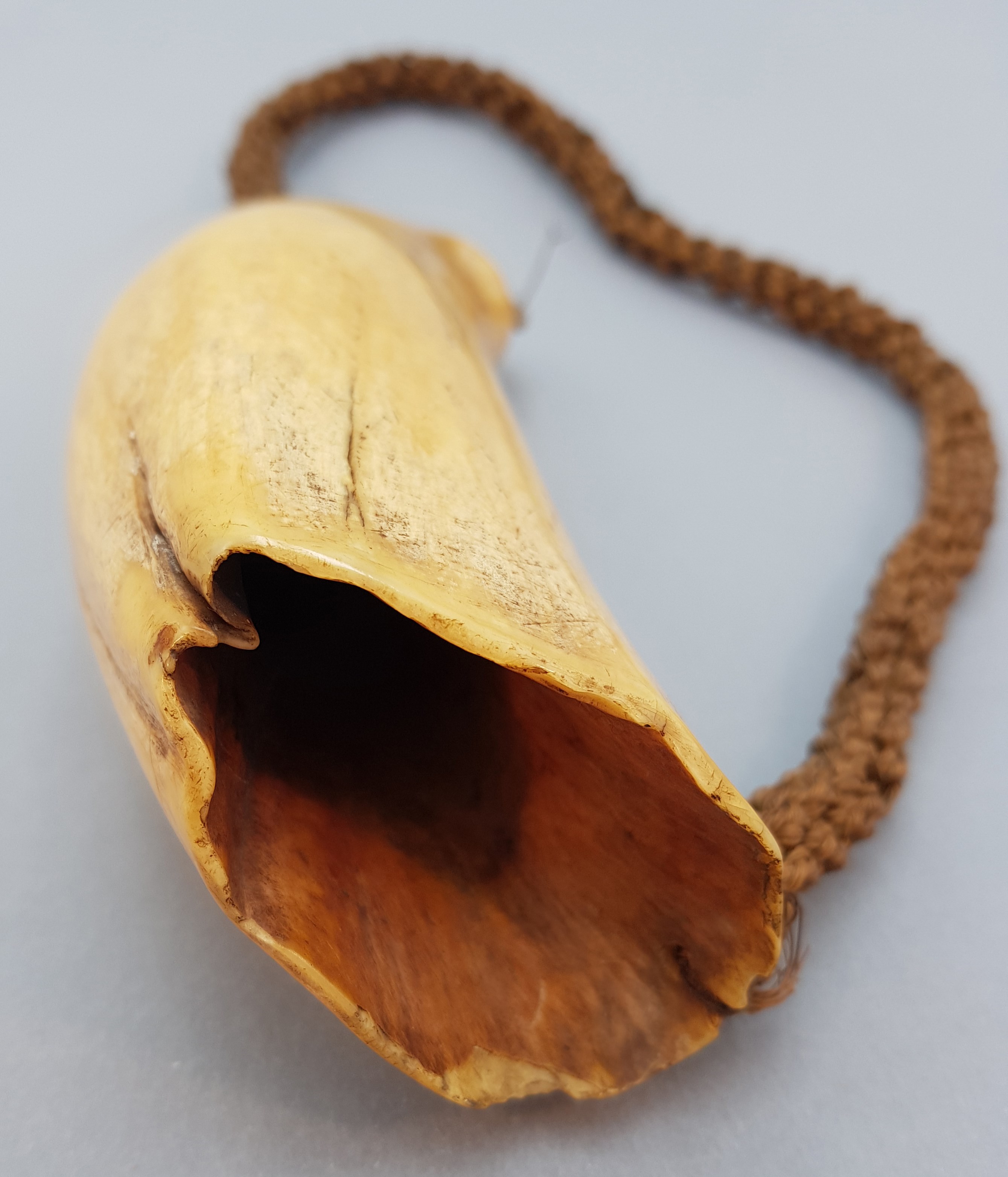 FIJI TABUA | MasterArt