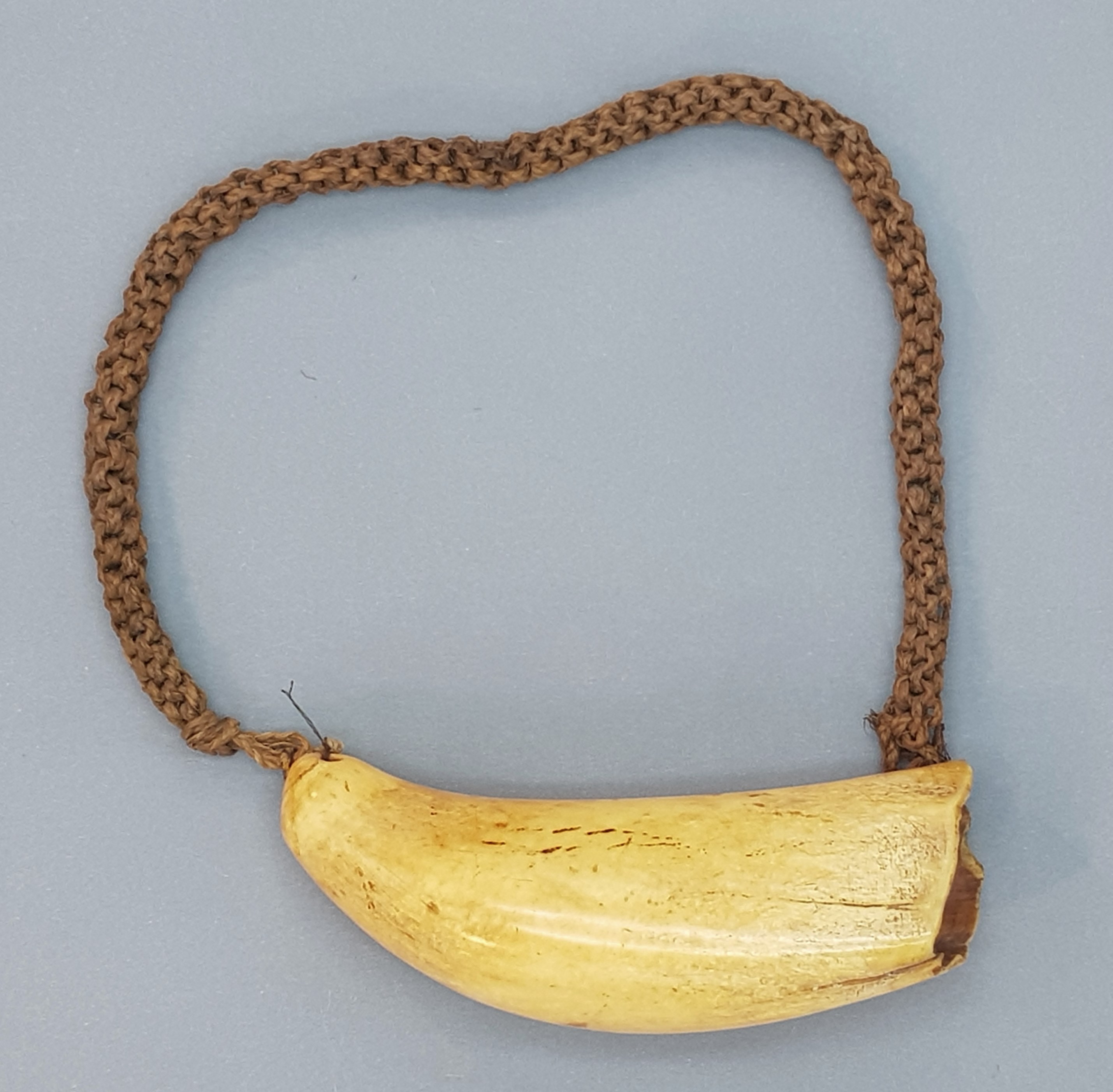 FIJI TABUA | MasterArt