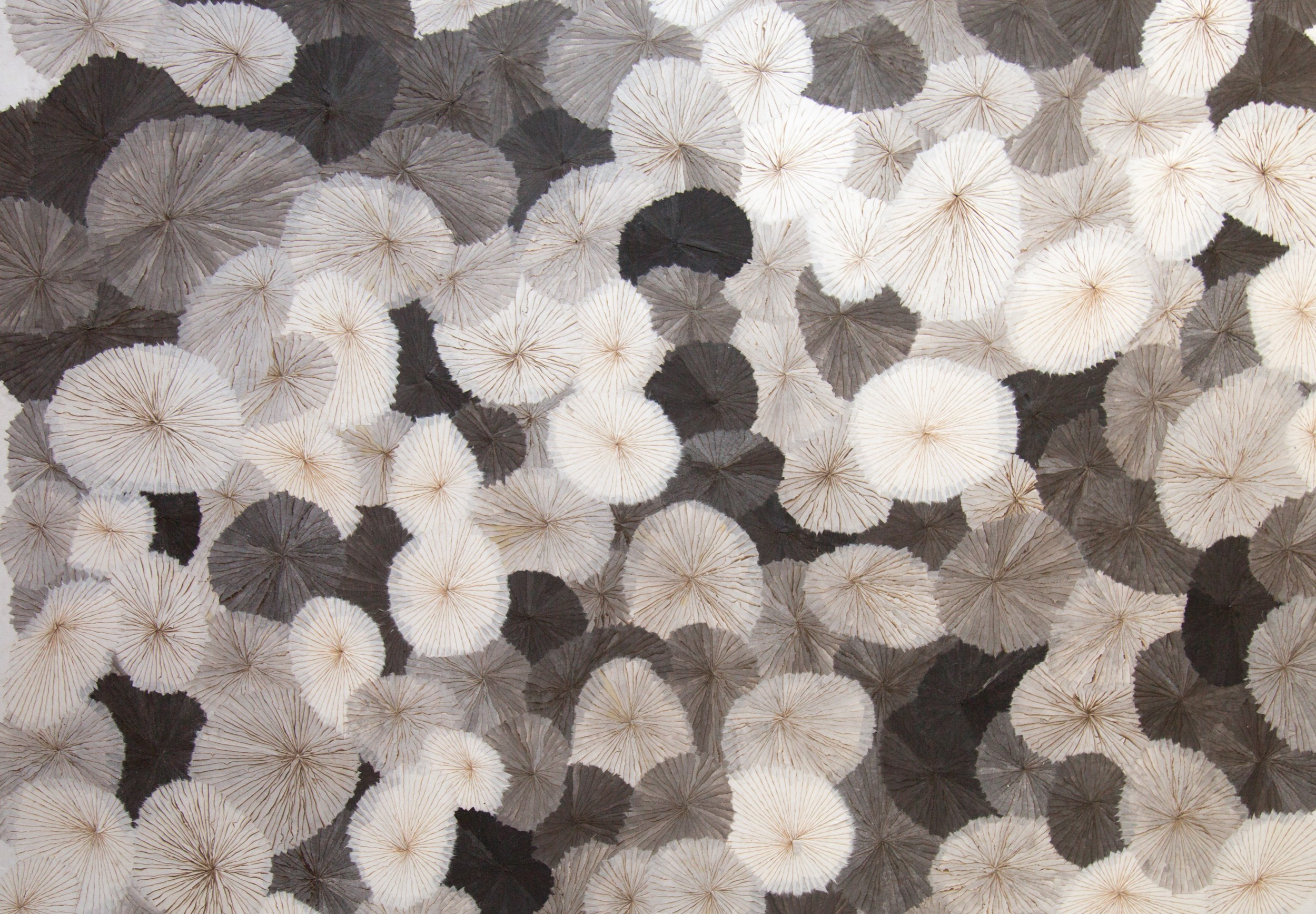 Patrick Heide | MasterArt