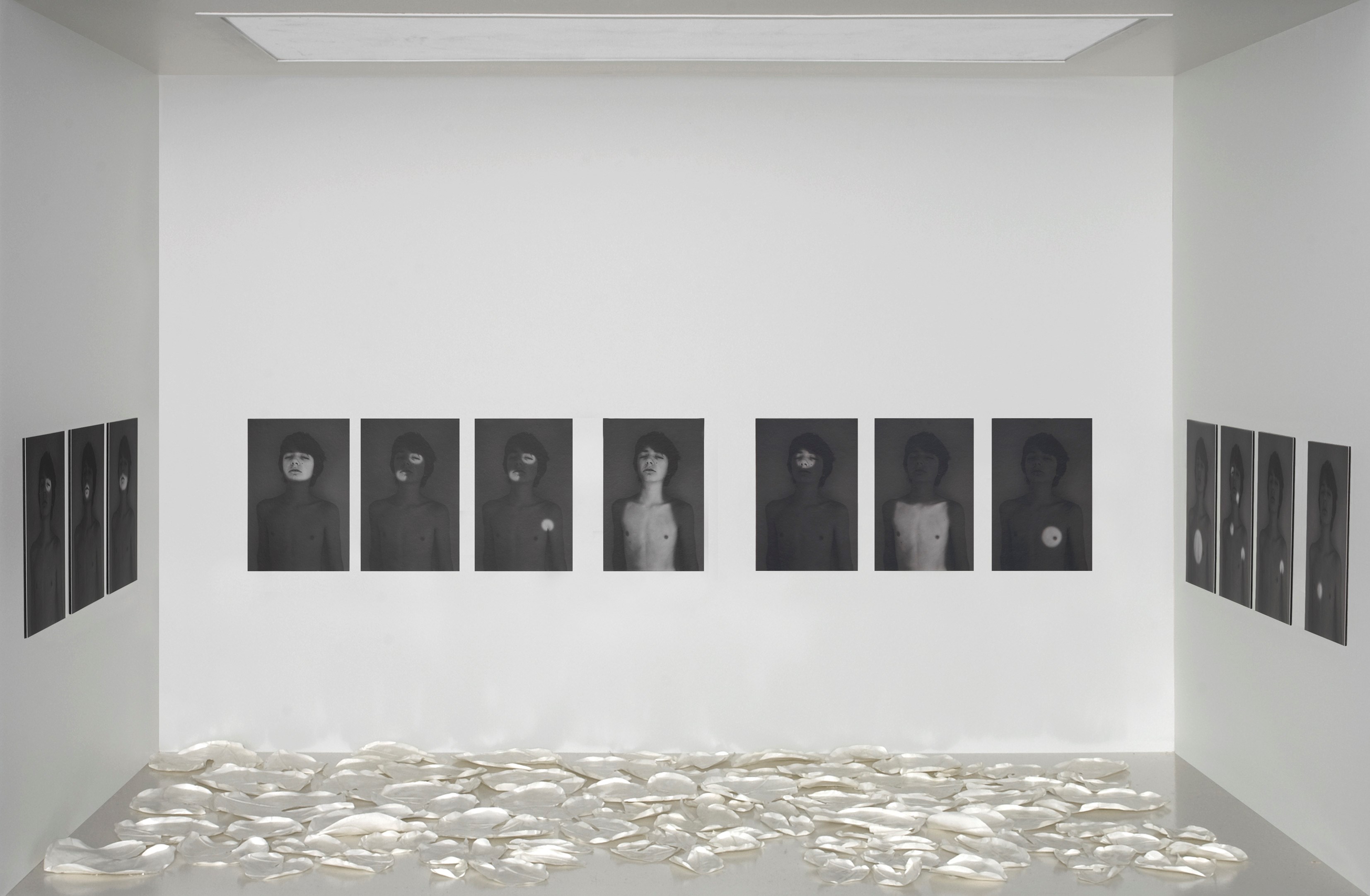 Elke Andreas Boon - Niels and the lilies | MasterArt